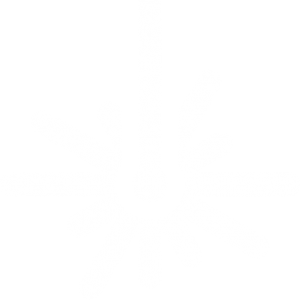 Galaxy Lights® - UK & Europe's Original Galaxy Lamps Store